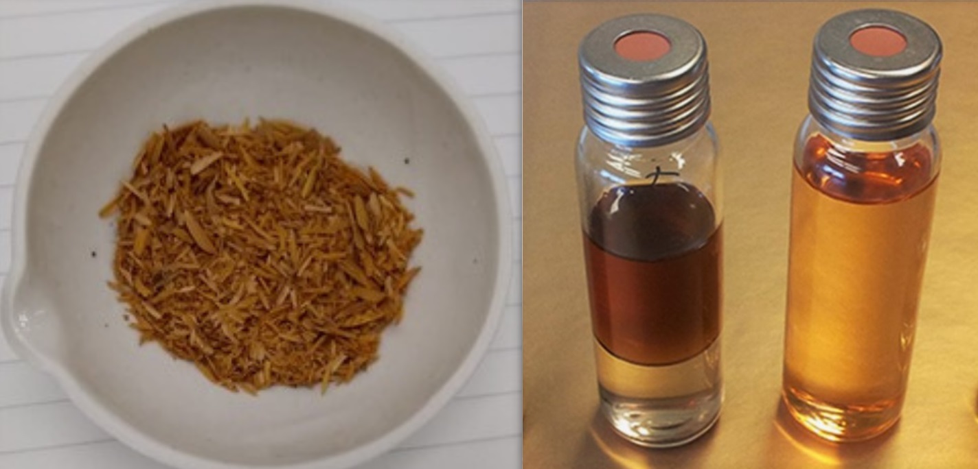 Biocarbones y bioaceites para mejorar la sustentabilidad del agro ...