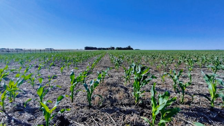 zonas marginales | Sobre La Tierra